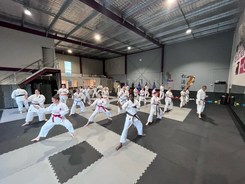 Karate Classes Maitland | Guys Karate School
